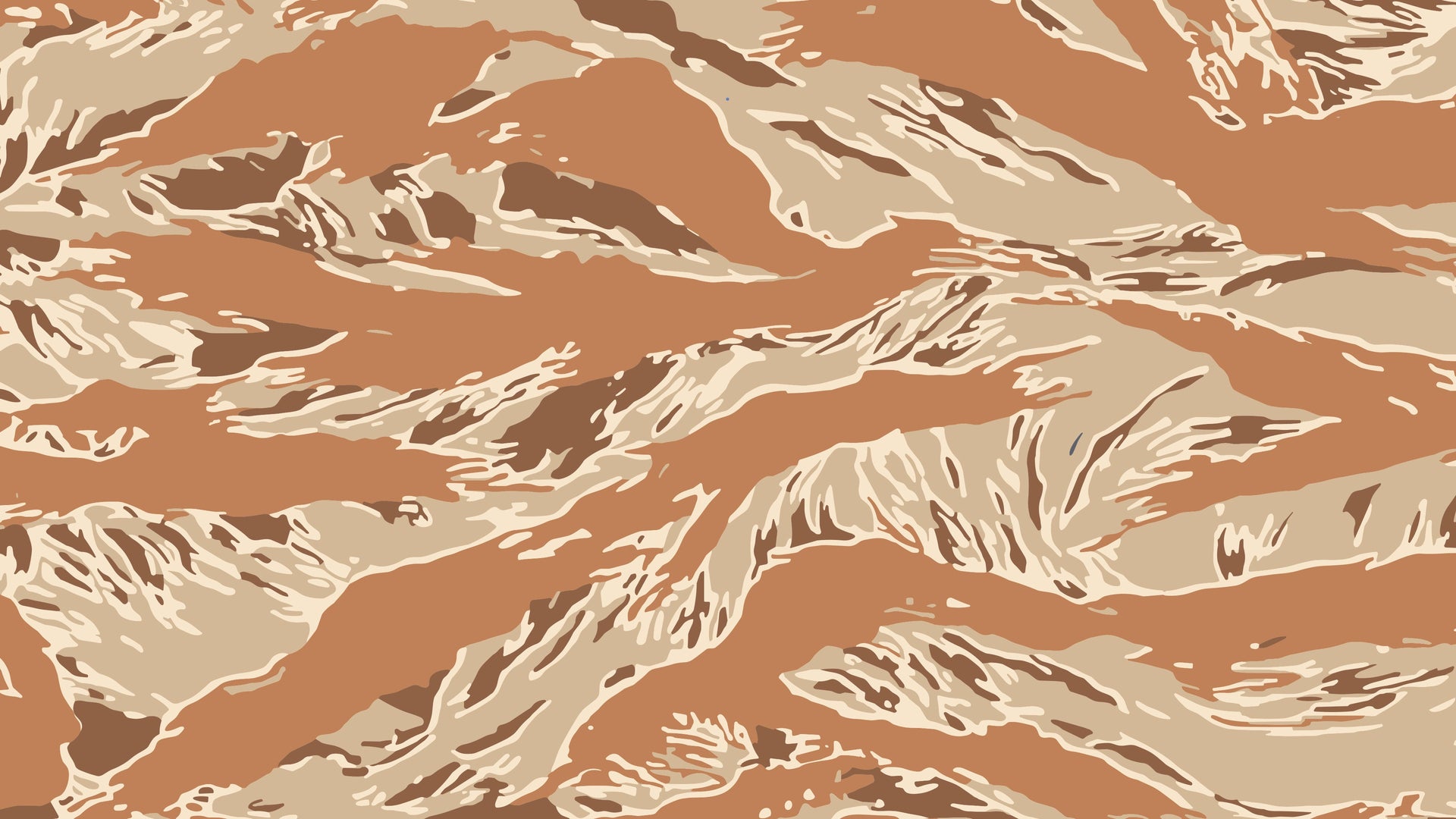 Desert Tiger Stripe Camouflage Collection - Platatac